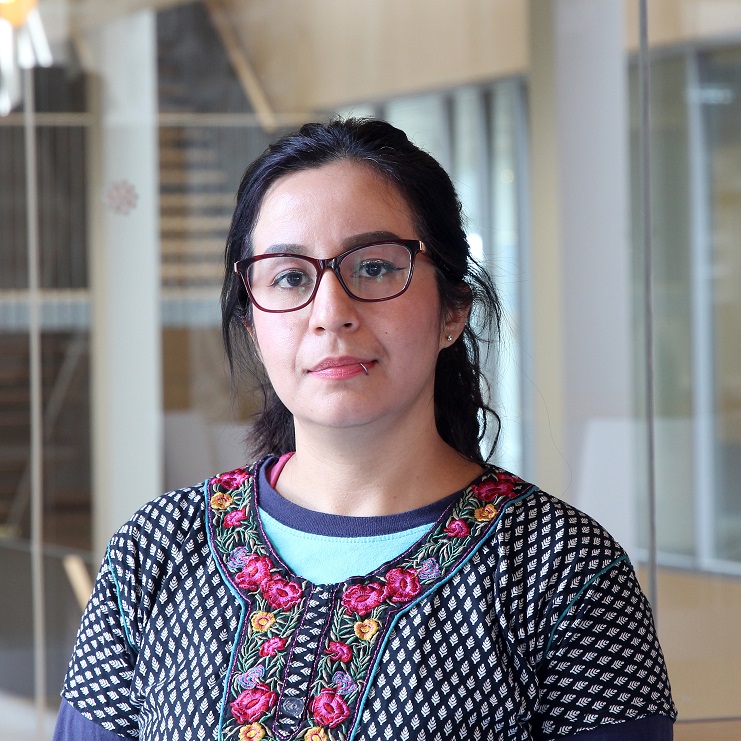 » Genomic Instability in Development and Disease